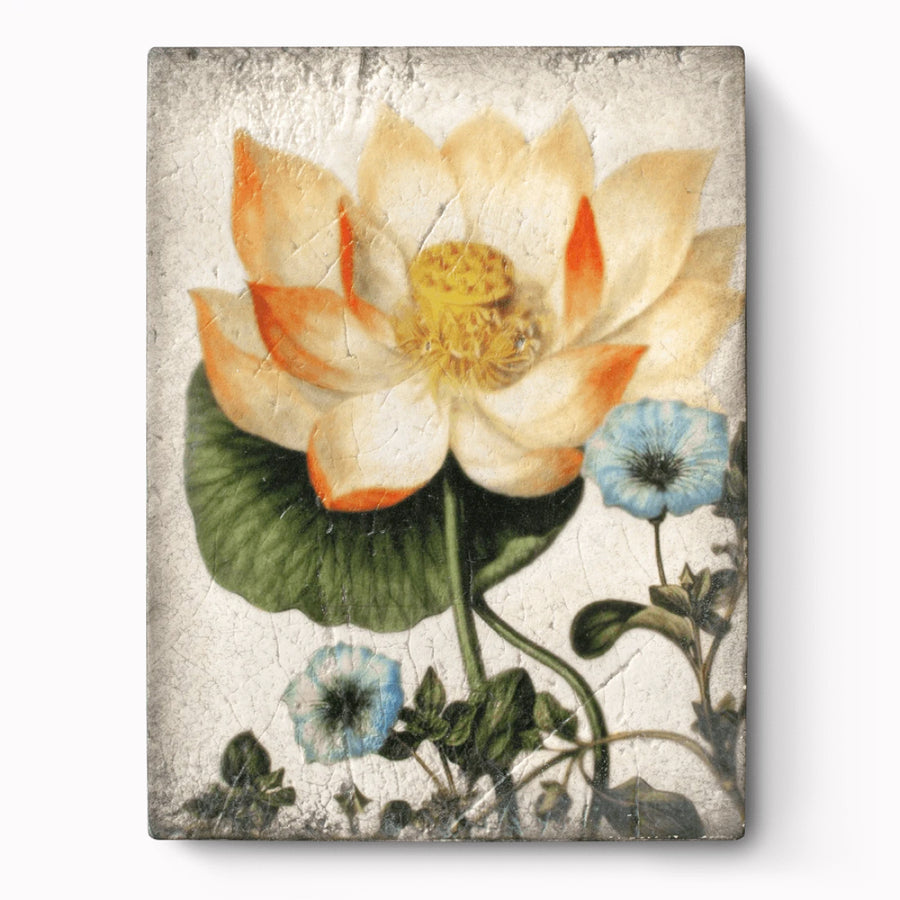 Crooked Crown - Gift Boutique - Kamloops BC — Crooked Crown BC